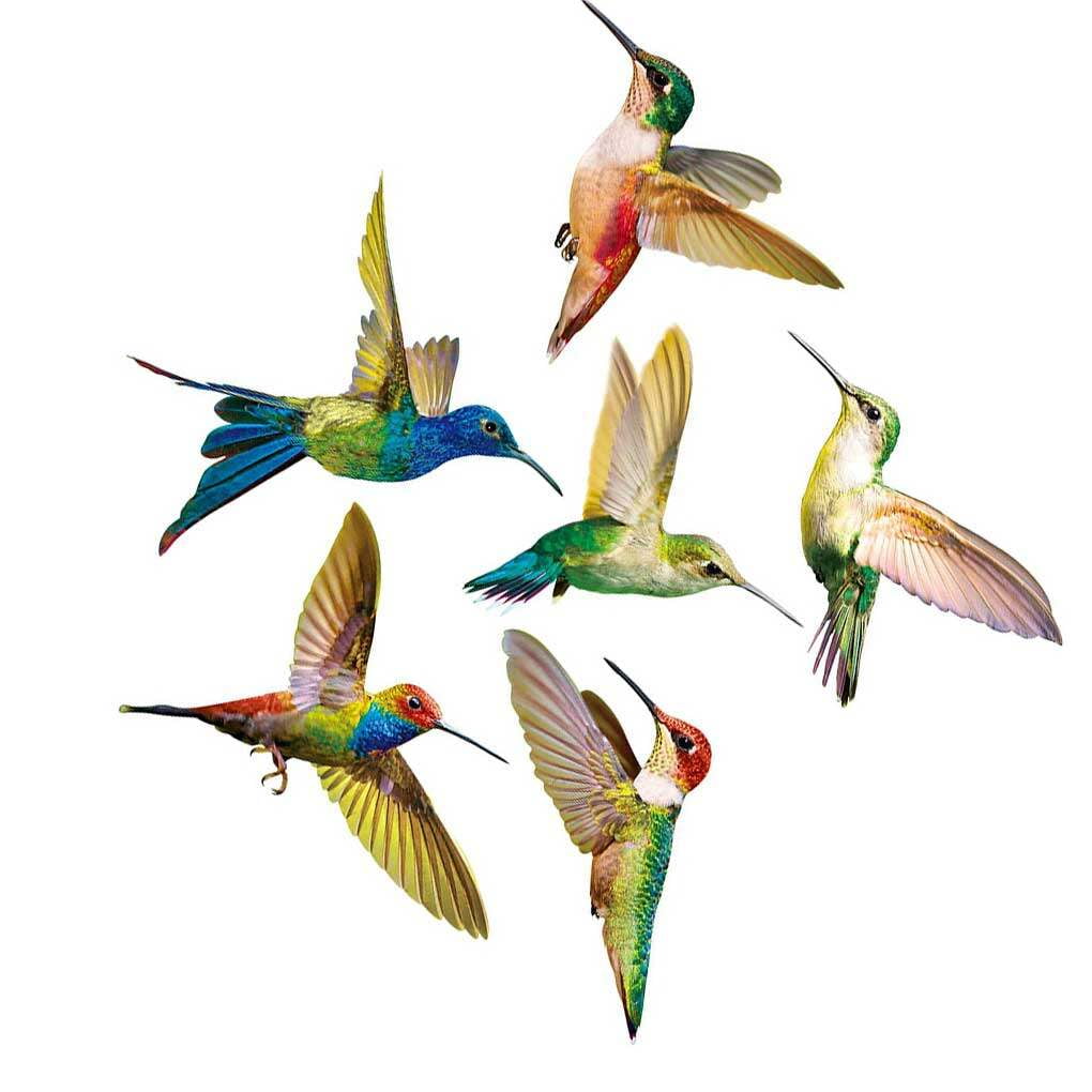 Click here for Shengyu 6pcs Waterproof Self-Adhesive Anti-Collisi... prices