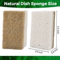 SHAANXIXIAN Natural Sponges Kitchen Biodegradable Dish Sponge for ...