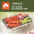 Ozark Trail Disposable Instant Charcoal Grill with 540g Charcoal ...