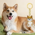 2/3/4/5/10Pcs Pet Memorial Keychain With Clear Furs Collector Perfect ...
