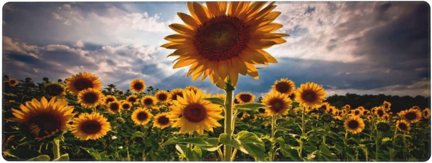 Nature Sunflowers Large Mouse Pads Rectangle Long Extended Big Stitched ...