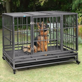 Precision Pet 2 Door Dog Crate, Black, Medium, 37"L - Walmart.com