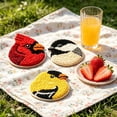 DIY Bird Coasters Punch Needle Kit, 6 Pcs Northern Bird Series ...
