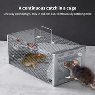 Humane Rodent Trap by PestZilla Kills Rats, Squirrels and Mice ...