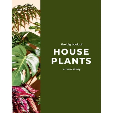 Smith Street Books' Plantopedia: Indoor Plant Care Guide & Houseplant ...