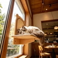 Sisal Cat Scratcher Board Suction Cup Cat Window Perch with Scratching ...