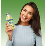 Snapple All Natural Green Tea, 16 Fl Oz Bottles, Pack of 8 - Walmart.com