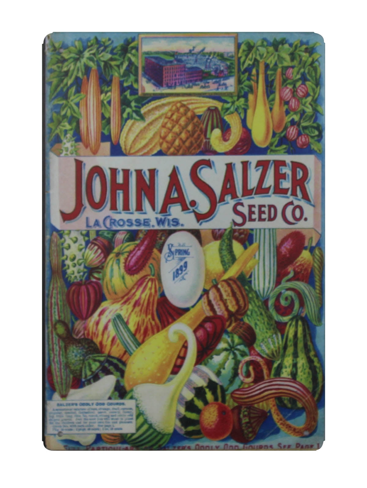 Seed Labels Pumpkins, Gourds, Corn metal tin sign vintage style ...