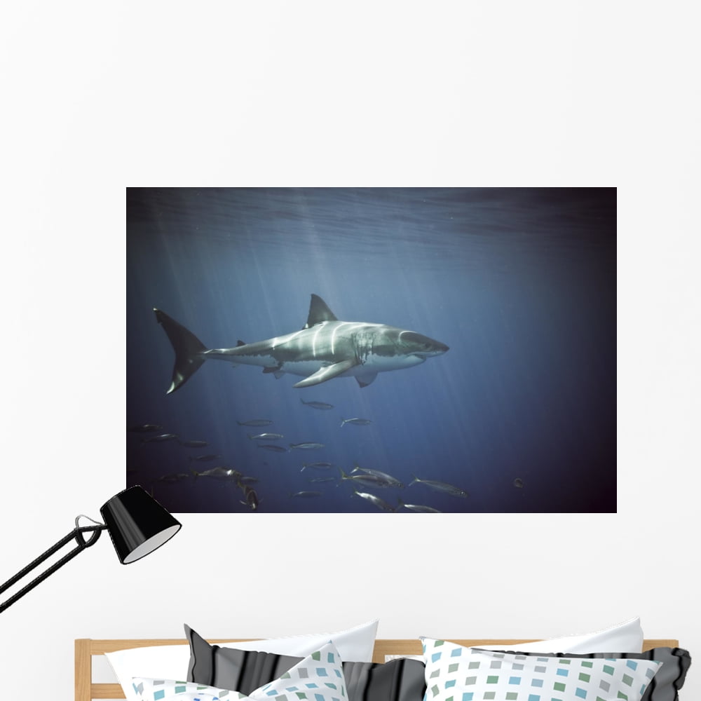 Great White Shark Wall Mural by Wallmonkeys Peel and Stick Graphic (48 ...