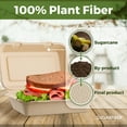 Sugarfiber Disposable 9x6" Compostable Rectangular Hinged Takeout ...