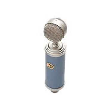 Blue Spark Blackout SL XLR Condenser Mic for Pro Recording and ...