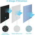 MSA3 Replacement Filter for 3-in-1 Air Purifier, H13 Hepa, Activated ...