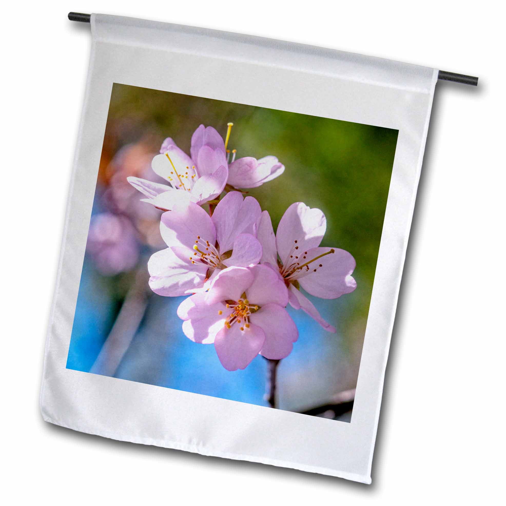 3dRose Bunch of beautiful pink sakura cherry flowers - Garden Flag, 12 ...