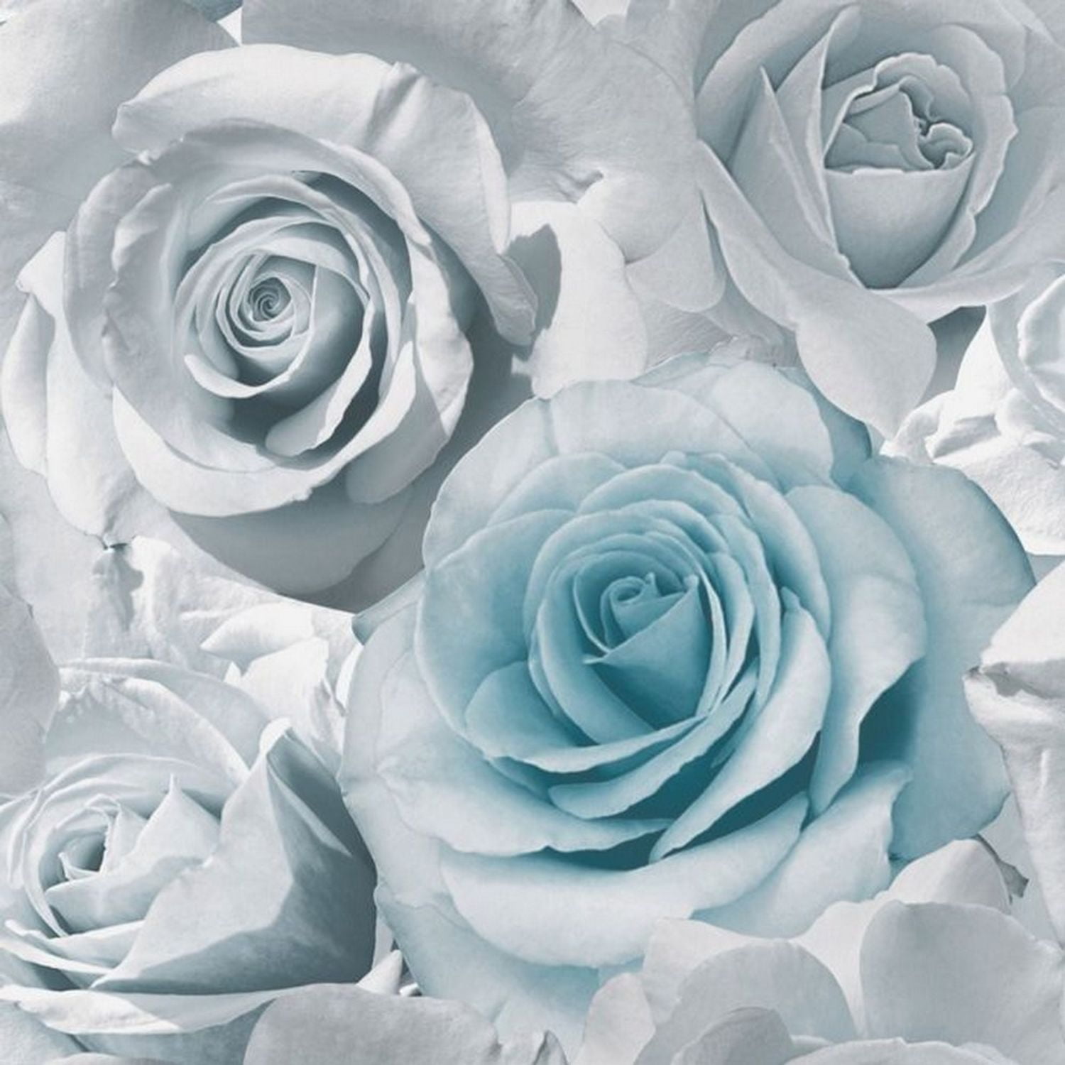 Click here for Muriva Madison Roses Wallpaper 10m X 53cm prices