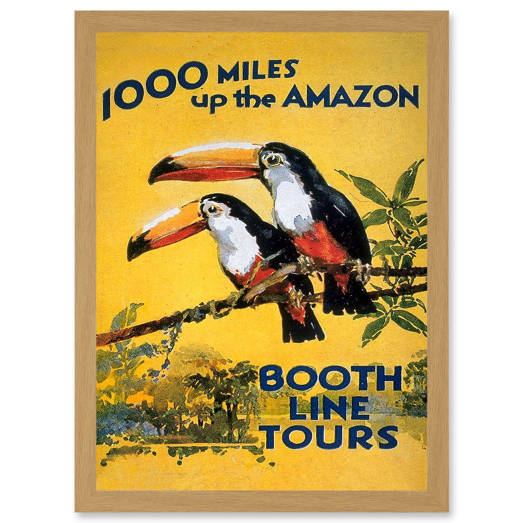 Amazon Toucan River Brazil South America Jungle Rain Forest Vintage ...