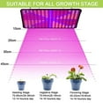 LAPA Life LED Grow Light, Full Spectrum 256LEDs, Promotes ...