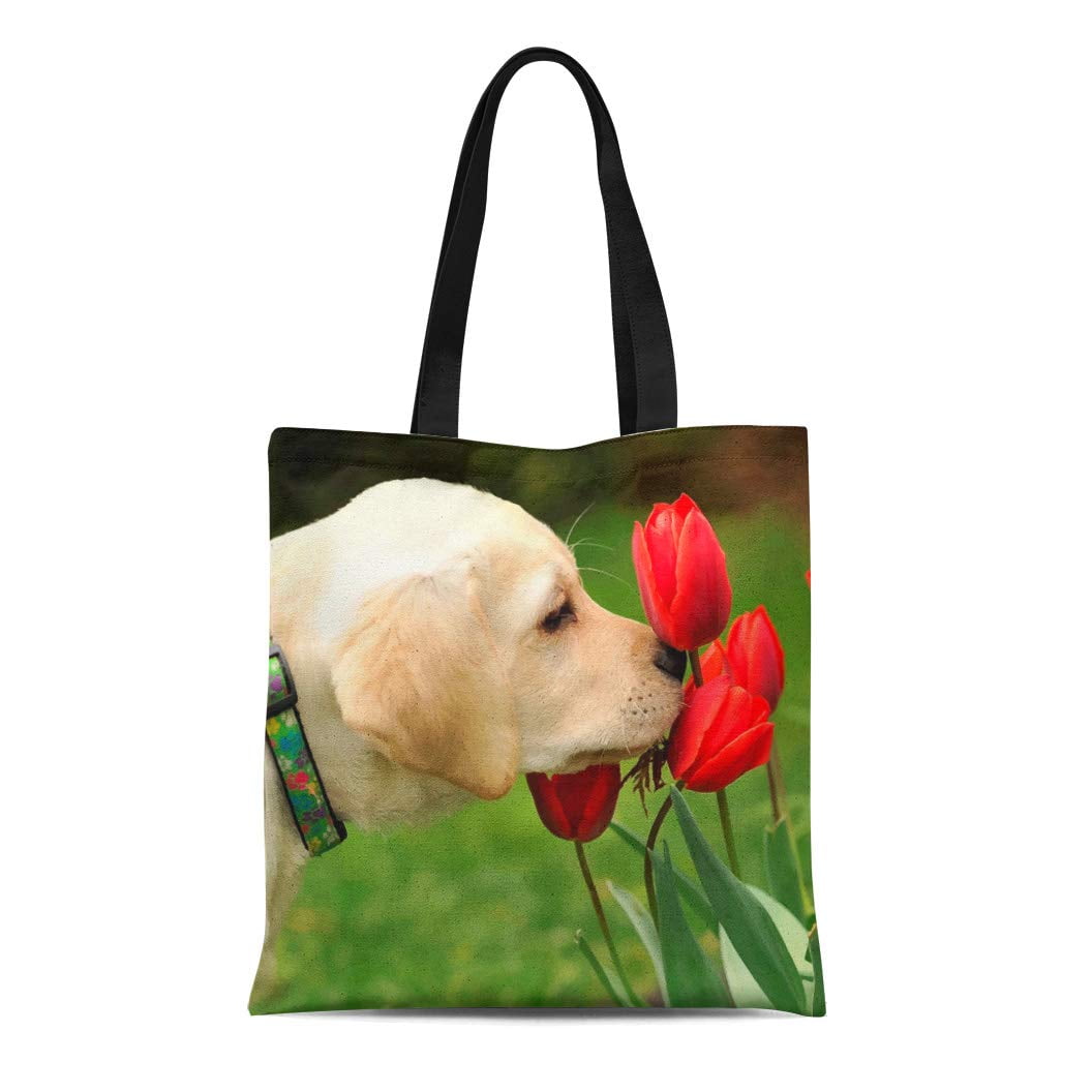 SIDONKU Canvas Tote Bag Lab Yellow Labrador Take Retriever Home Dog ...