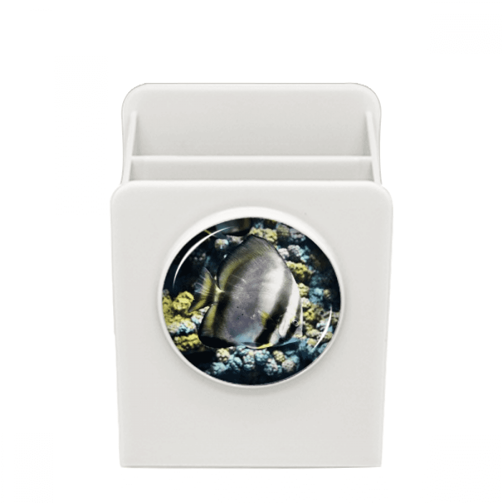 Ocean Fish Science Nature Picture Desk Pencil Holder Cup Pen Organizer ...