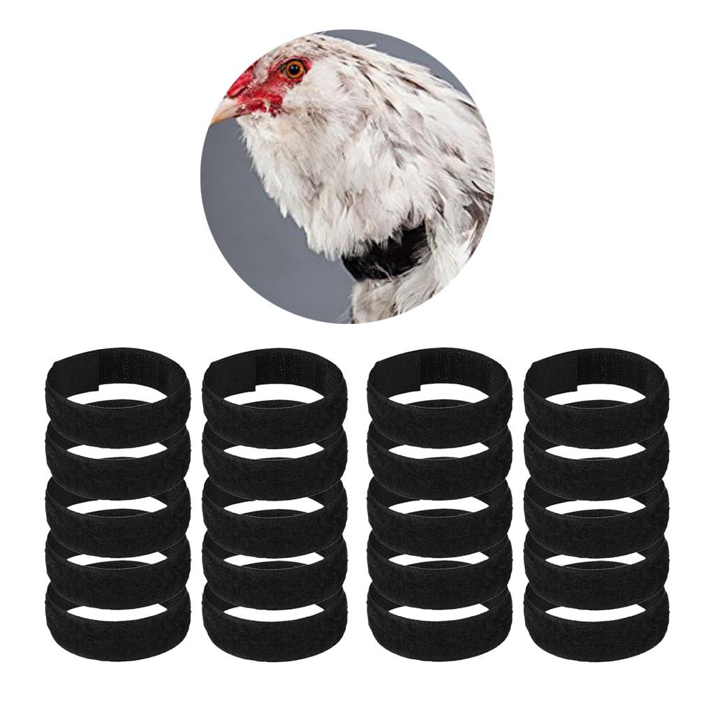 Collar Gallo Anti Cuervo Salvador Paquete de 20 Negro | Bodega Aurrera ...