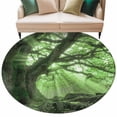 Green Canopy Washable Round Area Rug 8 ft, Country Rustic Forest Tree ...