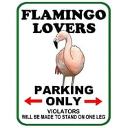 Dyenamic Art Flamingo Wisdom Wall & Outdoor Home Decor, Pink Aluminum ...