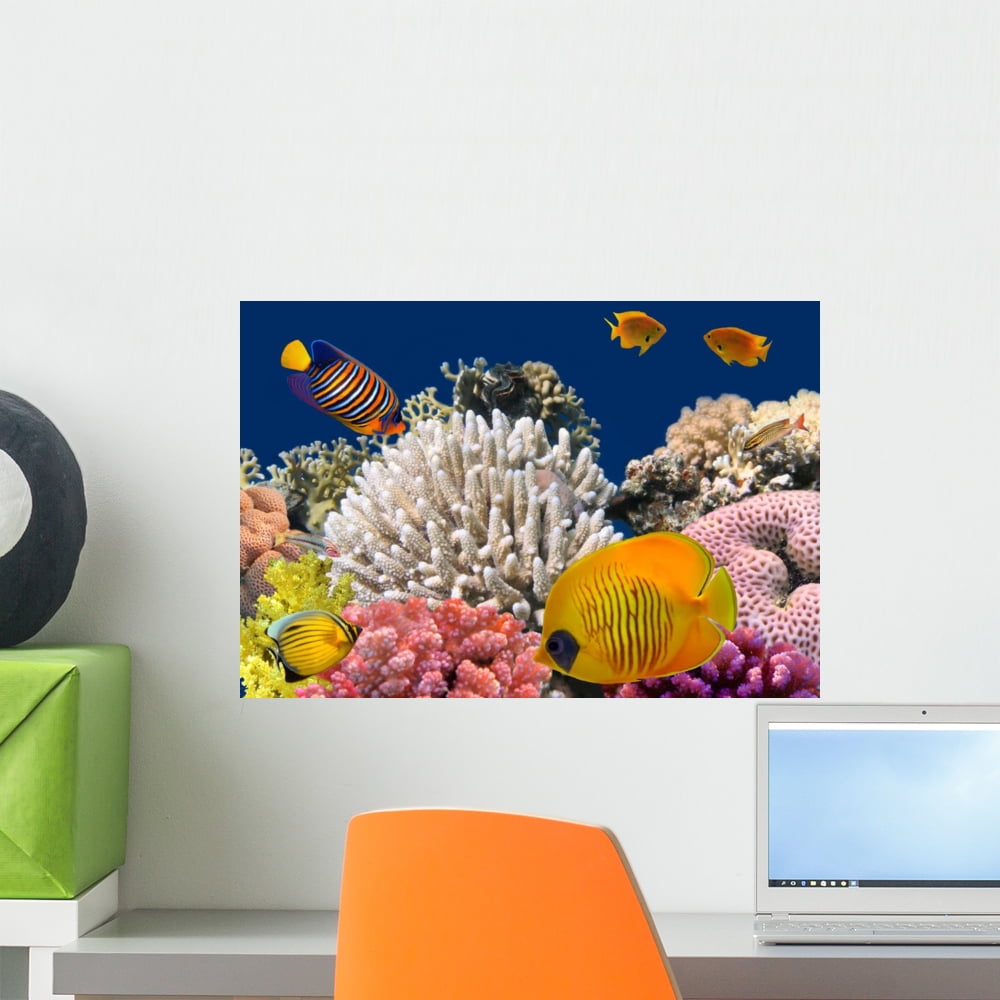 Underwater Life Hard-coral Reef Wall Decal by Wallmonkeys Peel and ...