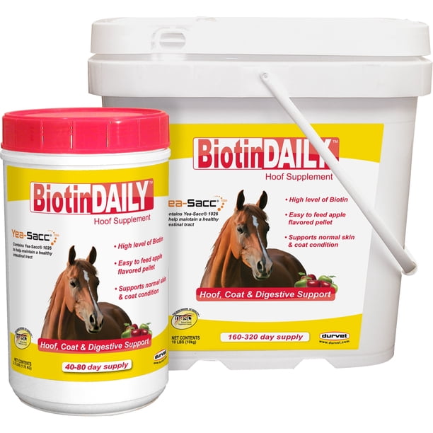 Oxygen Horse