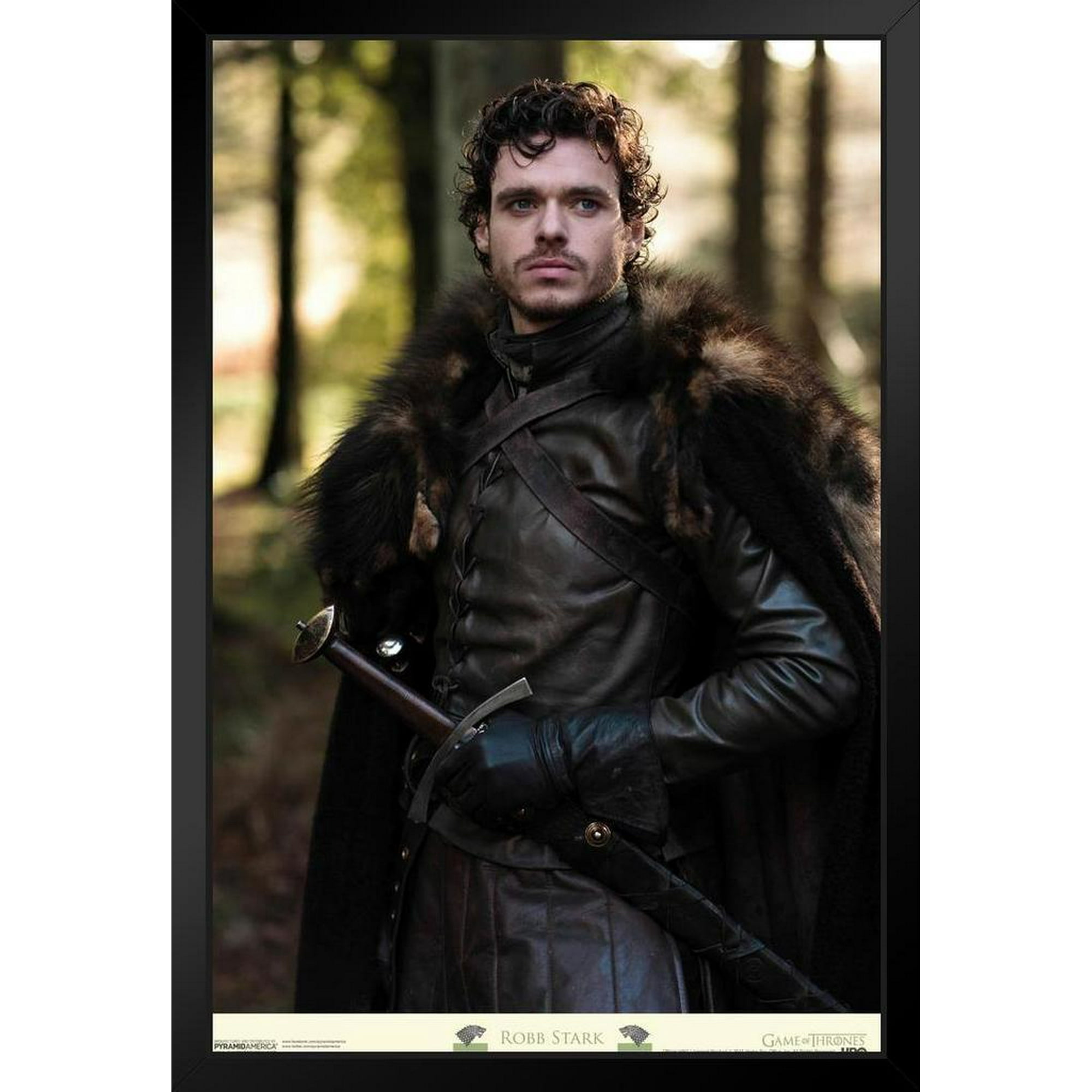 Robb Stark Costume