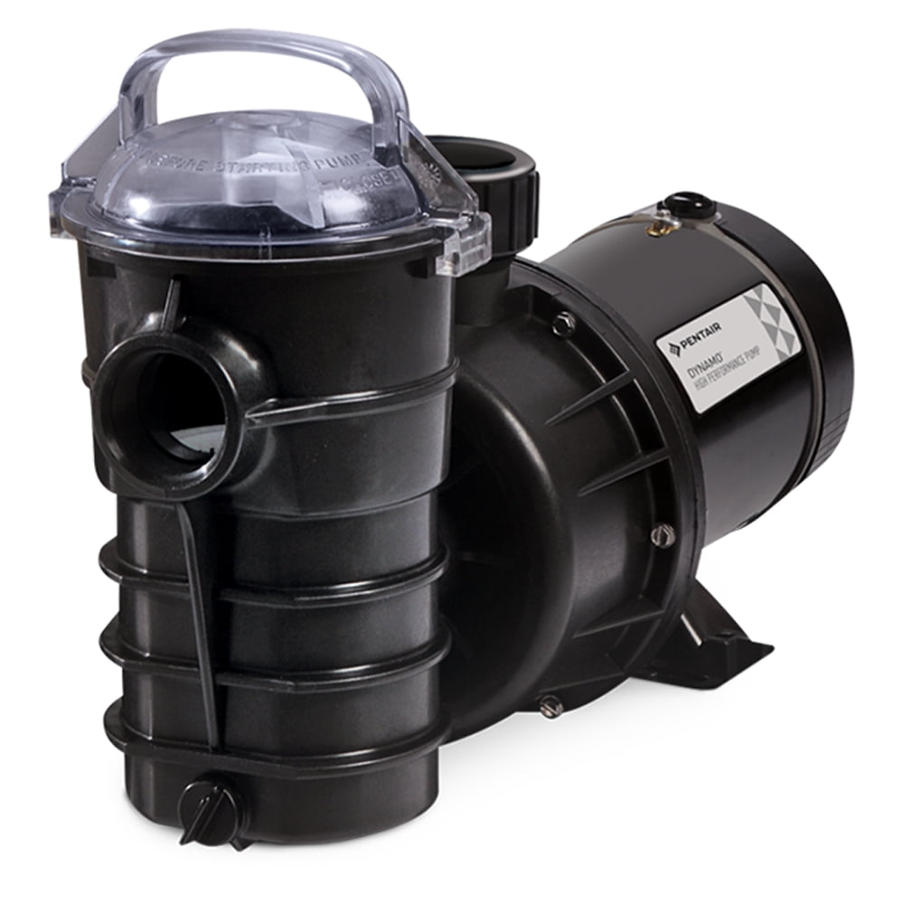 Pentair 340060 DYNII-N2 Dynamo 1 HP 115V 2 Speed Above Ground Pool Pump ...