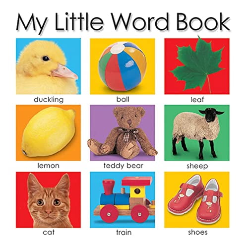 Pre-Owned My Little Word Book My Little Books Board Book Roger Priddy ...