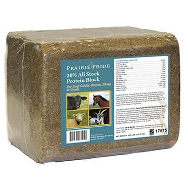 Ridley Sheep and Goat Outdoor Protein Block for Pasture Diets, 33lb ...
