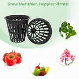 50PCS 2" Net Cups, Plastic Hydroponics Cups, Slotted Mesh Net Pots ...