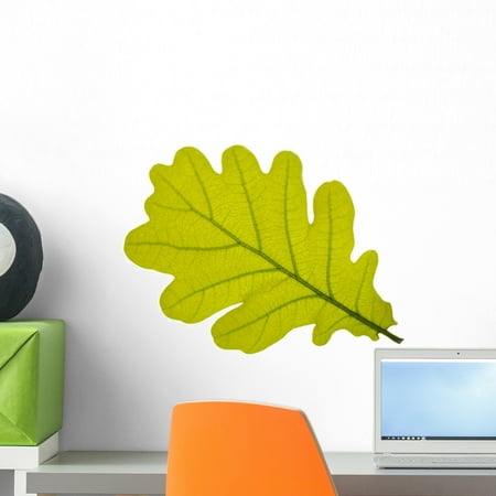 Oak Oak Leaf Tree Wall Decal by Wallmonkeys Peel and Stick Graphic (18 ...