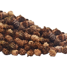 kiskick 20Pcs Mini Decorative Fake Pine Cones, Small DIY Craft for Home ...