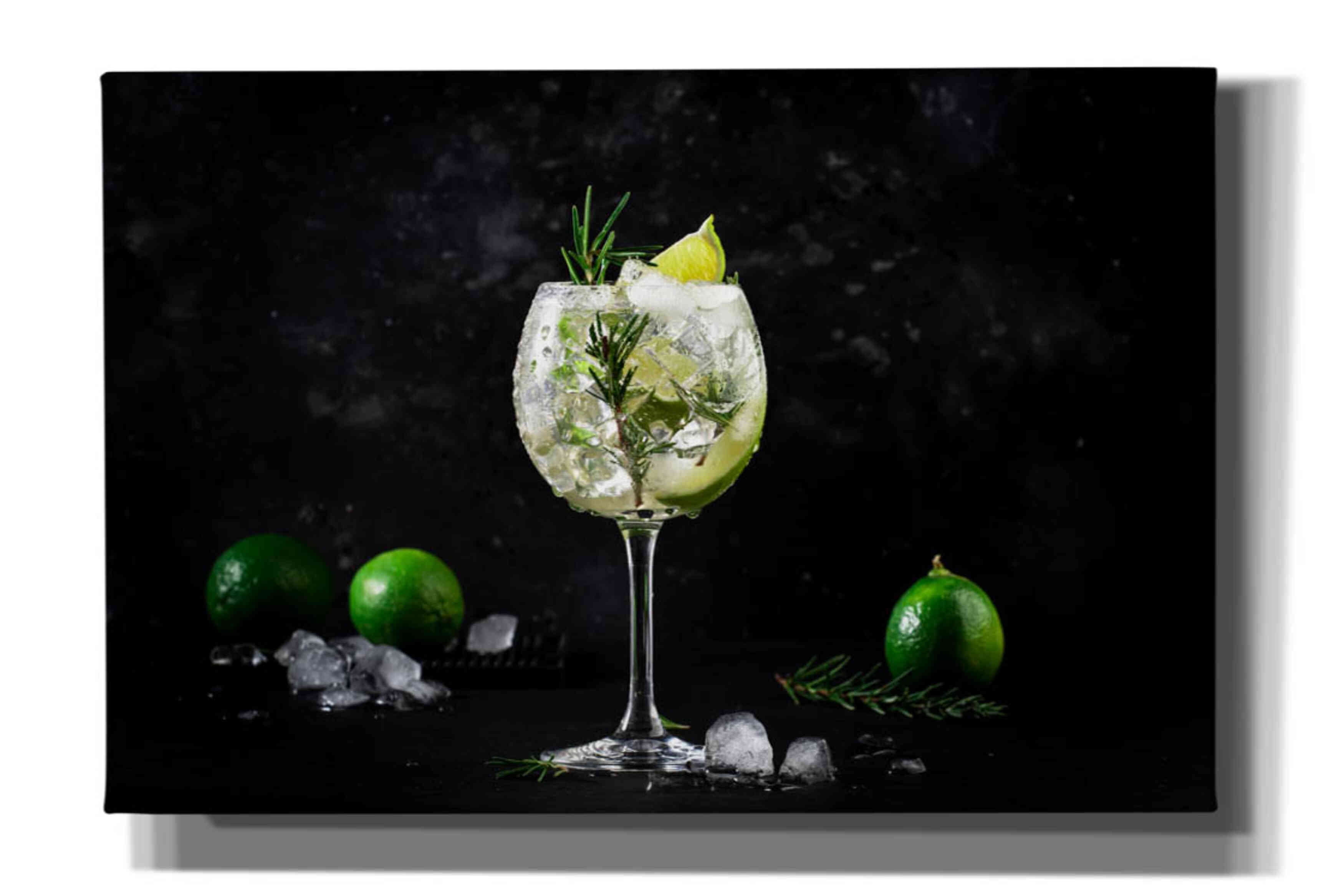 Epic Graffiti 'Gin and Tonic' by Epic Portfolio, Canvas Wall Art, 60 ...