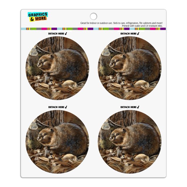 Beaver Being Busy Refrigerator Fridge Locker Vinyl Circle Magnet Set ...