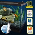 Tetra 10 Gallon Glass LED Aquarium Kit - Walmart.com