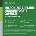 Havasu Nutrition Creatine Monohydrate Capsules, 120 ct + AstraGin ...