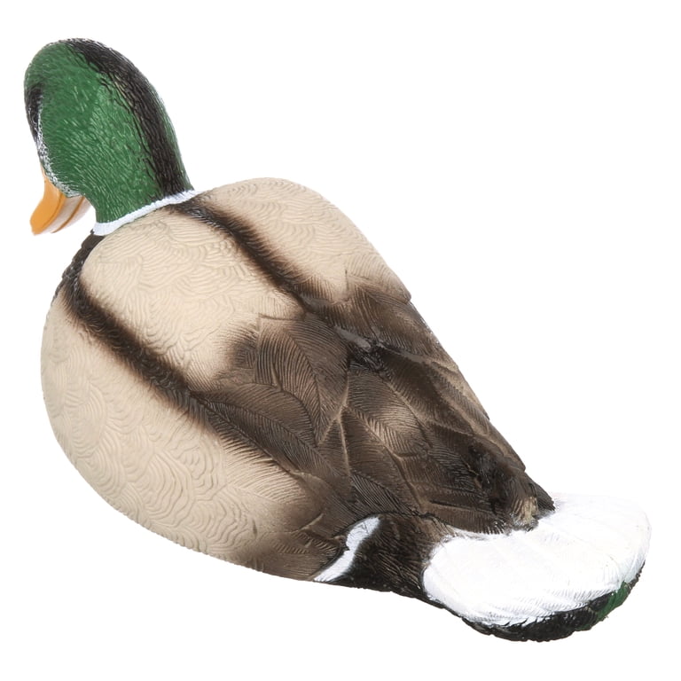 Mallard Drake Locked Up