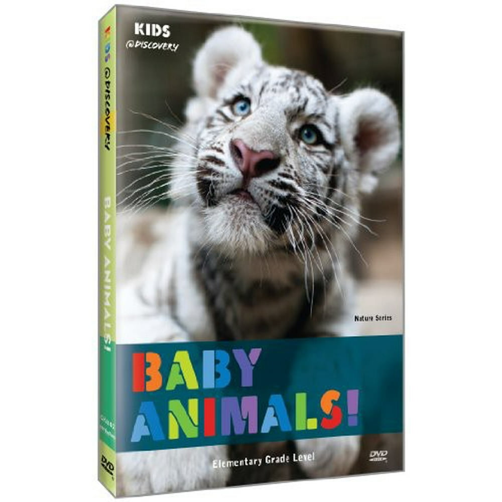 Baby Animals (DVD) - Walmart.com - Walmart.com