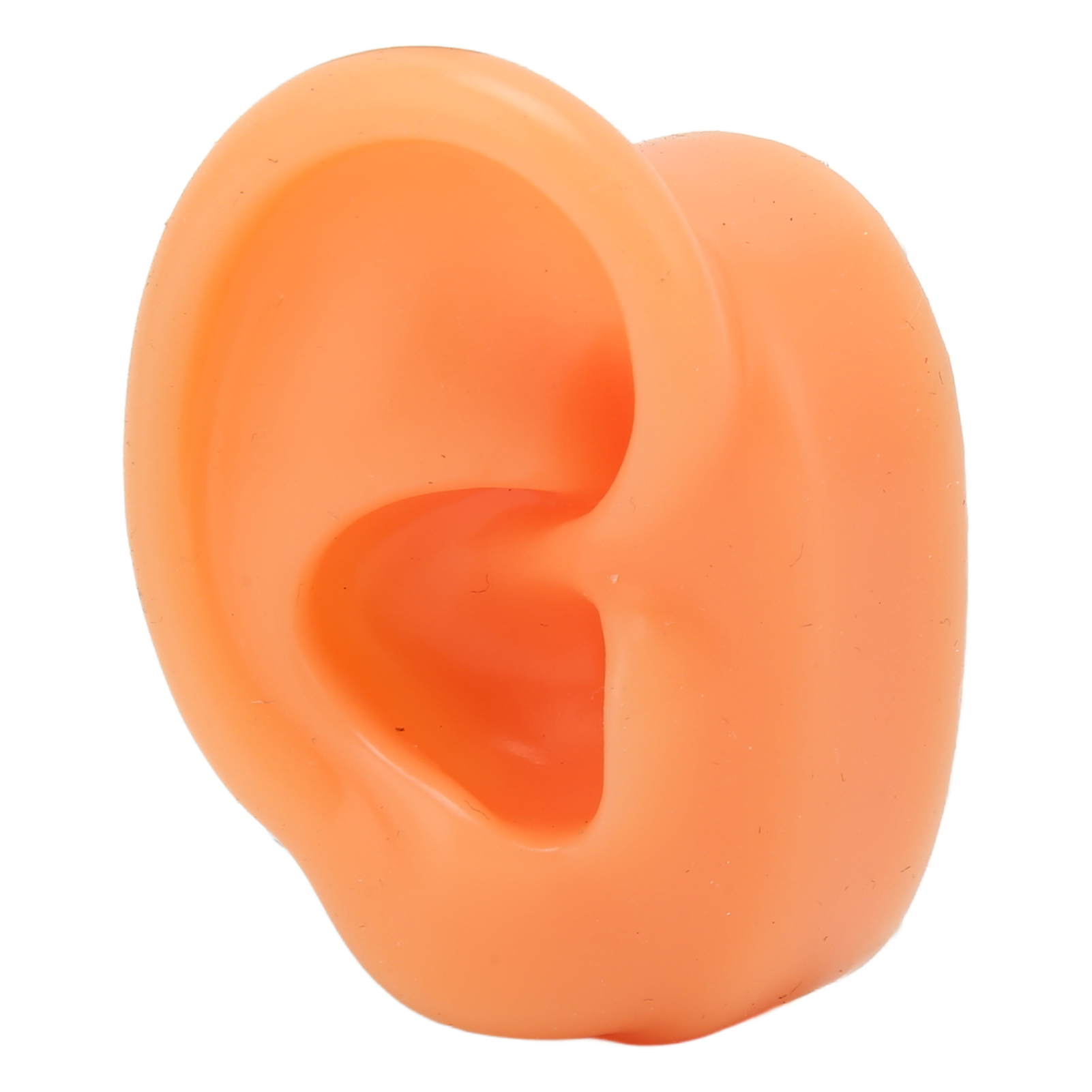 Modelo De Oreja De Silicona, Molde De Oreja De Silicona Para Exhibición ...