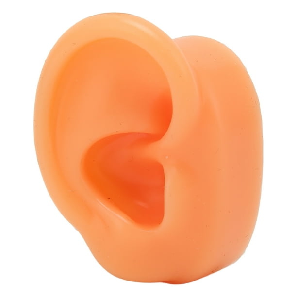 Modelo De Oreja De Silicona, Molde De Oreja De Silicona Para Exhibición ...