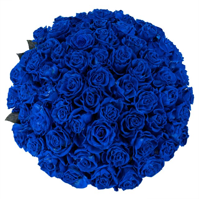 Member's Mark Farm Fresh Velvet Roses, choose color and stem count ...