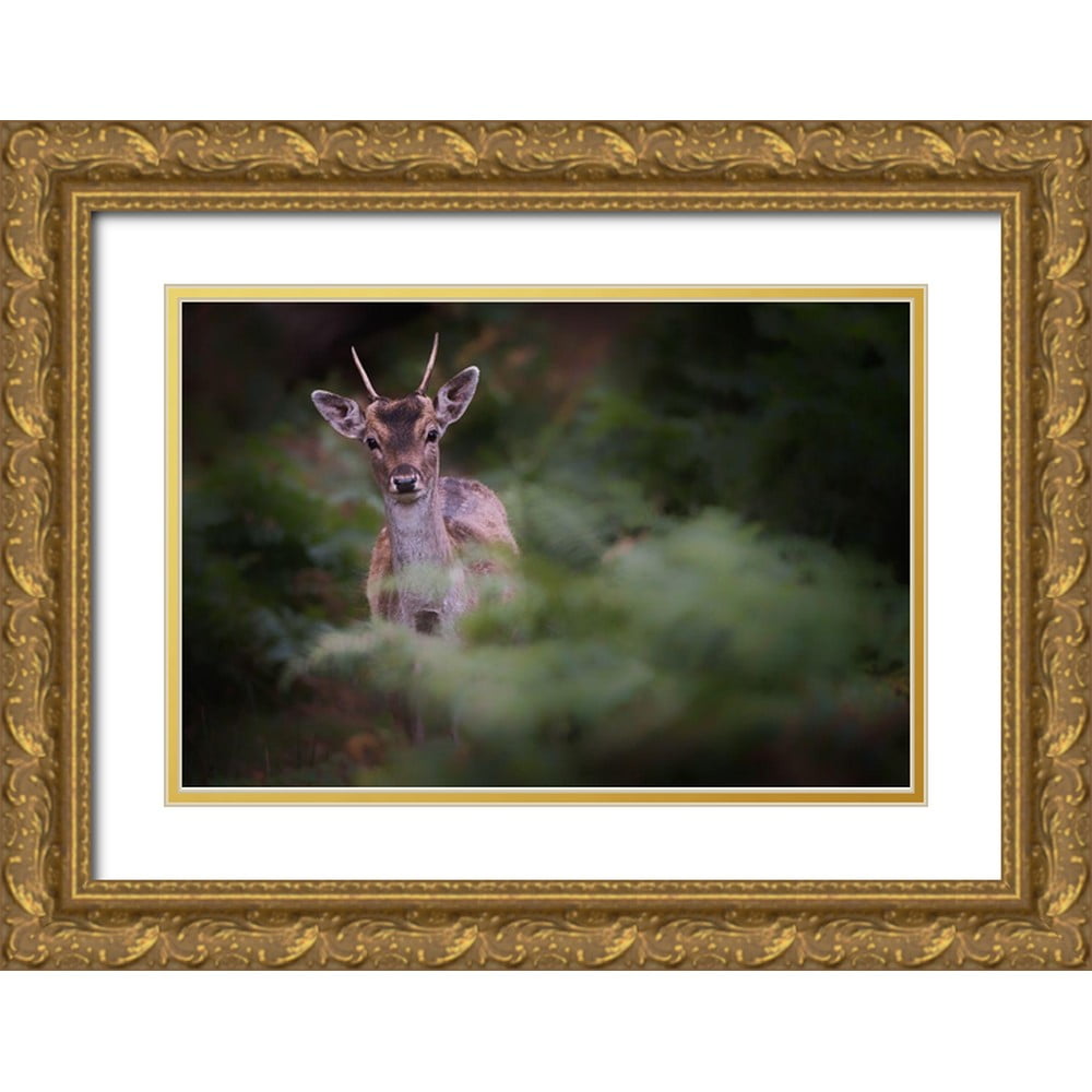 Deakin, Karen 32x23 Gold Ornate Wood Framed with Double Matting Museum ...