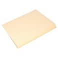 "Pacon Large Manilla Tagboard, 12"" x 18"", for Art & Crafts ...