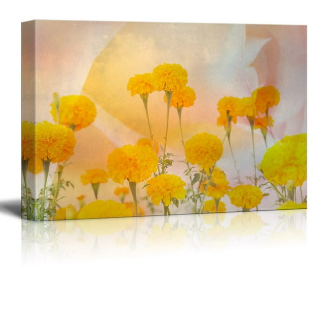 Marigold Art