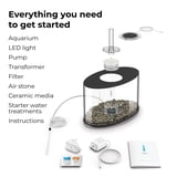 biOrb LOOP 15 Aquarium with Standard Light - 4 Gallon, Black - Walmart.com