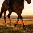 4Pcs Fine Meshes Loose Horse Boot Meshes Horse Fly Leggings Breathable ...