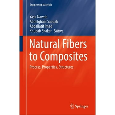 Composite Materials Engineering, Volume 1: Fundamentals of Composite ...