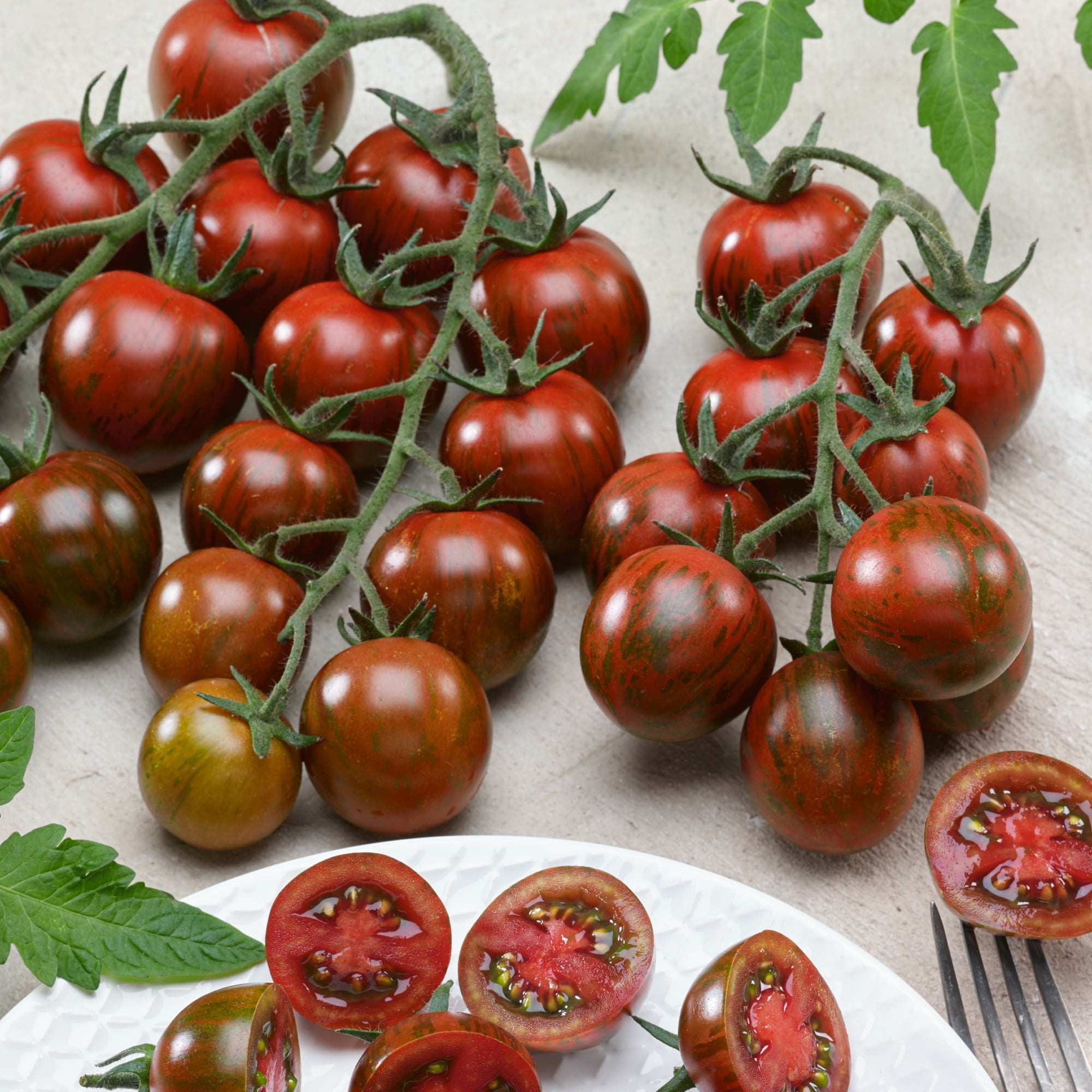 Gum Drop Black F1 Hybrid Tomato Seeds - 1 Oz ~6800 Seeds - Non-GMO, F1 ...